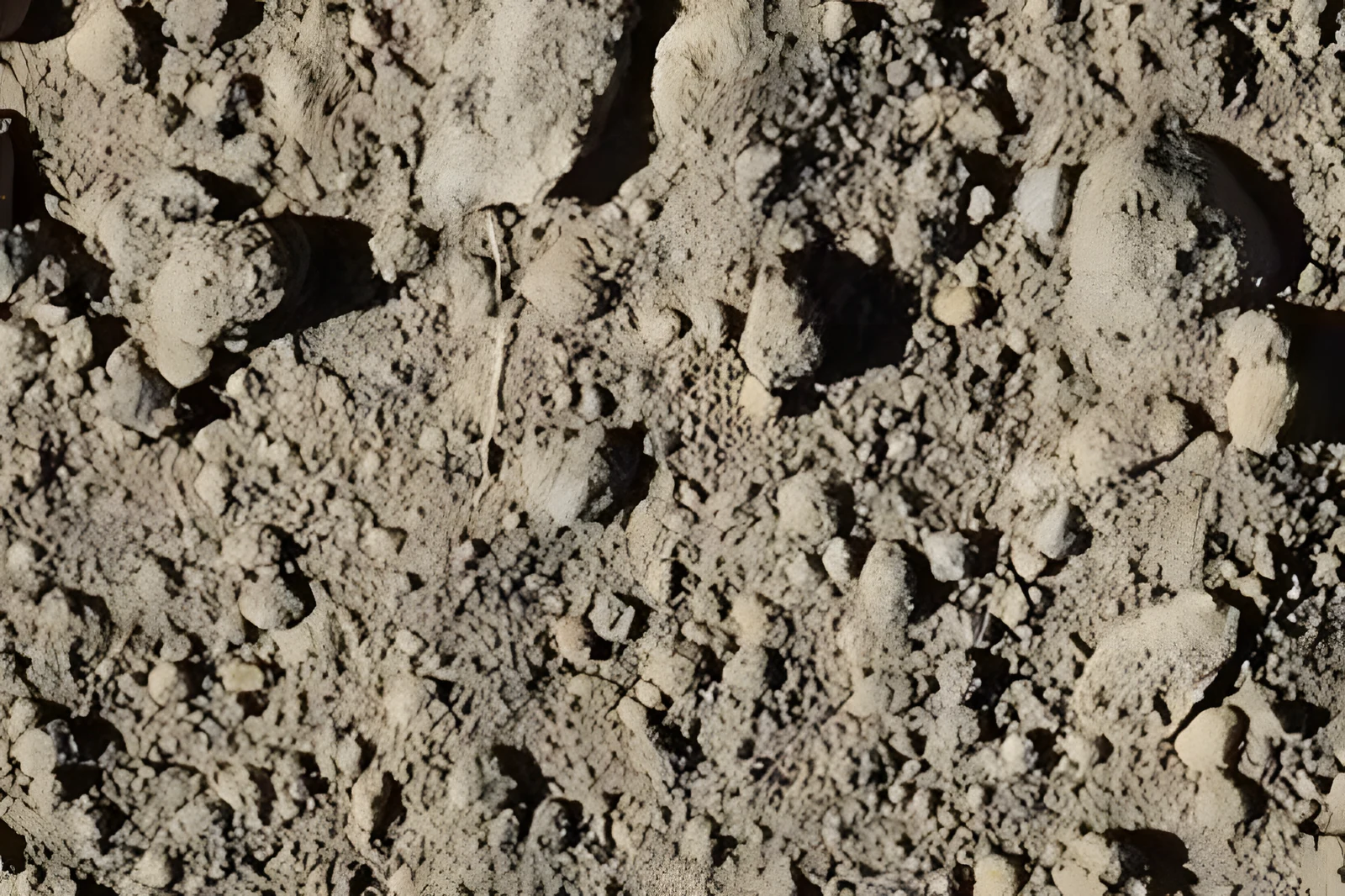 Fill Dirt, Dirt Hauling & Topsoil Delivery in Texas | Soil Depot