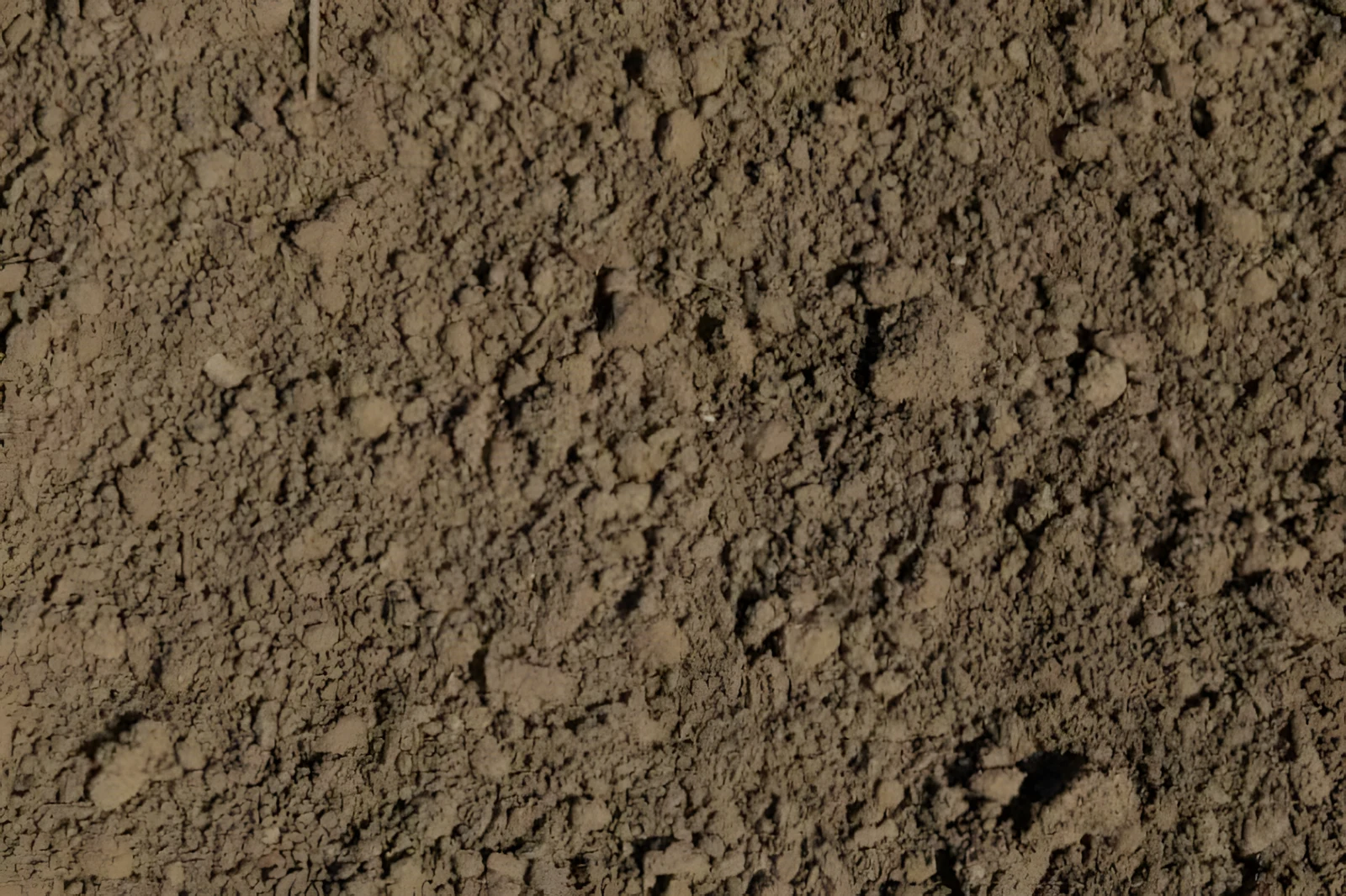Fill Dirt, Dirt Hauling & Topsoil Delivery in Texas | Soil Depot
